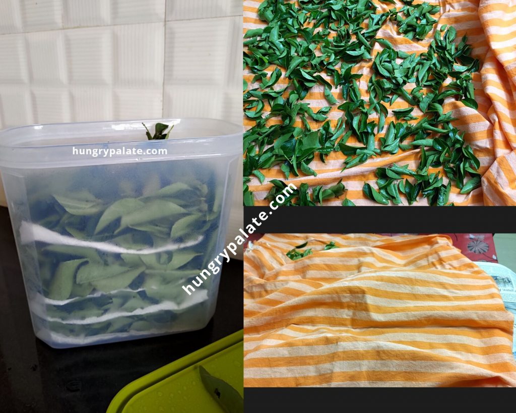 How to clean and store Curry Leaves Fresh for Longer? » Hungry Palate